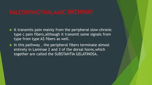 Pain definition, pathway,analgesic pathway, types of pain | PPTX