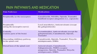 Pain definition, pathway,analgesic pathway, types of pain | PPTX
