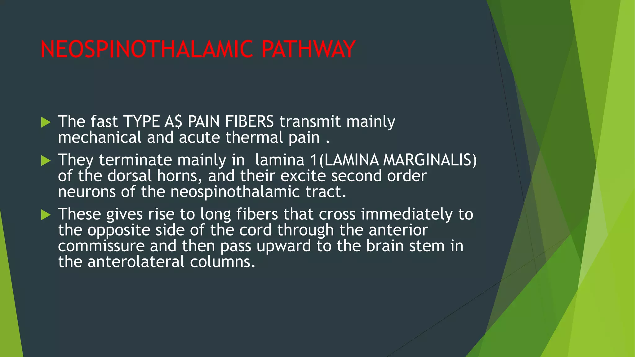 Pain definition, pathway,analgesic pathway | PPTX