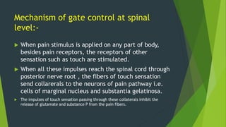 Pain definition, pathway,analgesic pathway | PPTX