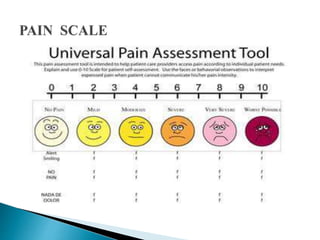 Universal Pain Diagram