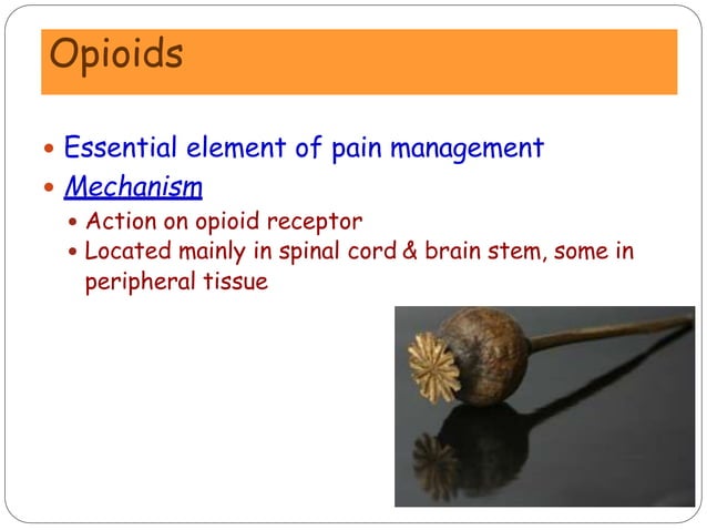 Post operative pain management | PPTX | Physical Therapy | Wellness