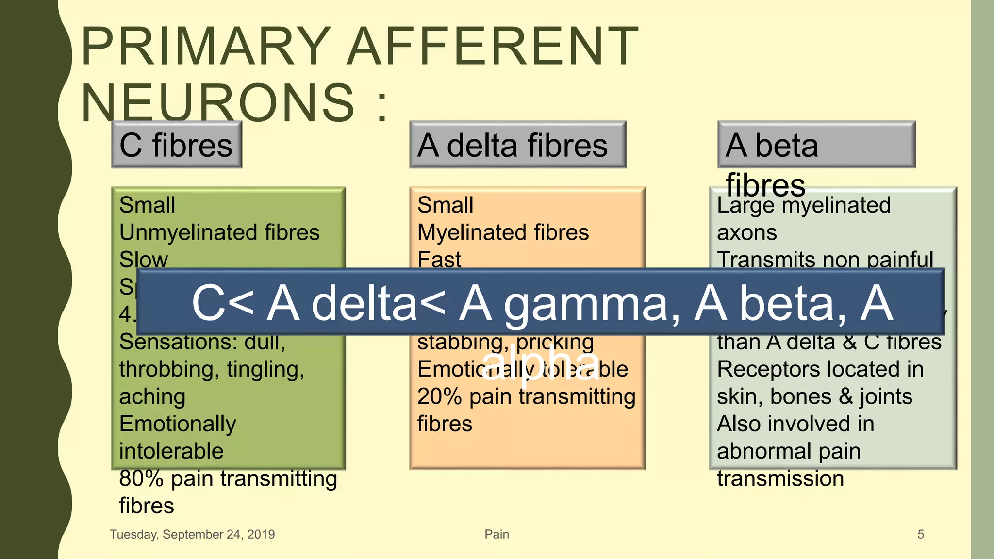 Pain : definition, assessment, types, scales, physiotherapy management ...