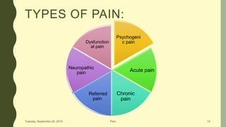 Pain : definition, assessment, types, scales, physiotherapy management ...