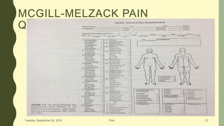 Pain : definition, assessment, types, scales, physiotherapy management ...