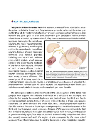 PAIN : PATHOPHYSIOLOGY | DOCX