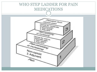 Pain Management | PPTX