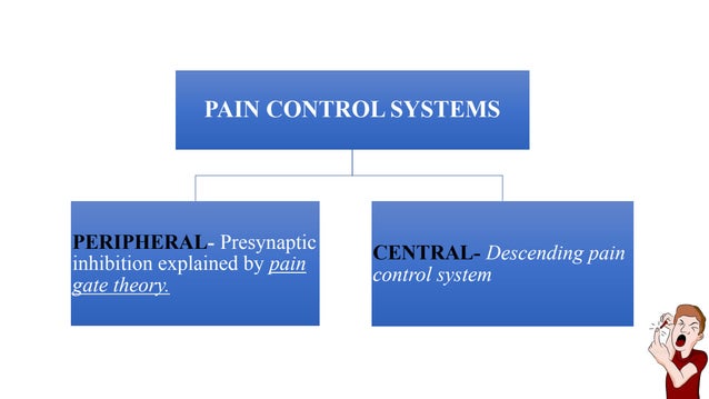 PAIN pathways and control systems.pptx