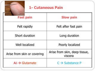 Pain.pdf
