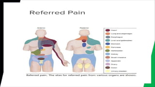 PAIN/CLASSIFICATION AND MANAGEMENT OF PAIN.pdf