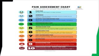 PAIN/CLASSIFICATION AND MANAGEMENT OF PAIN.pdf