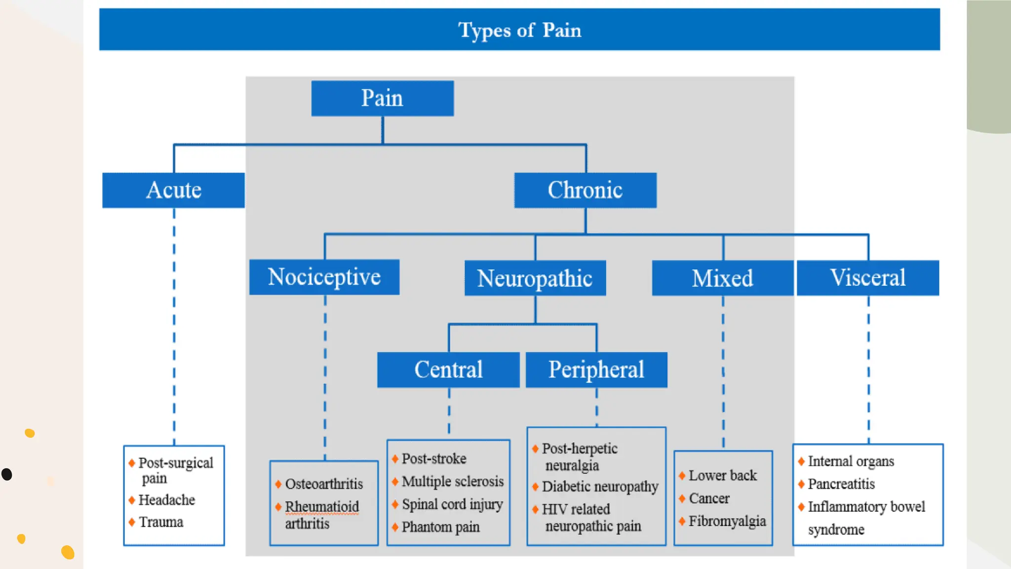 Pain, nociception and pathways of pain transmission | PPTX