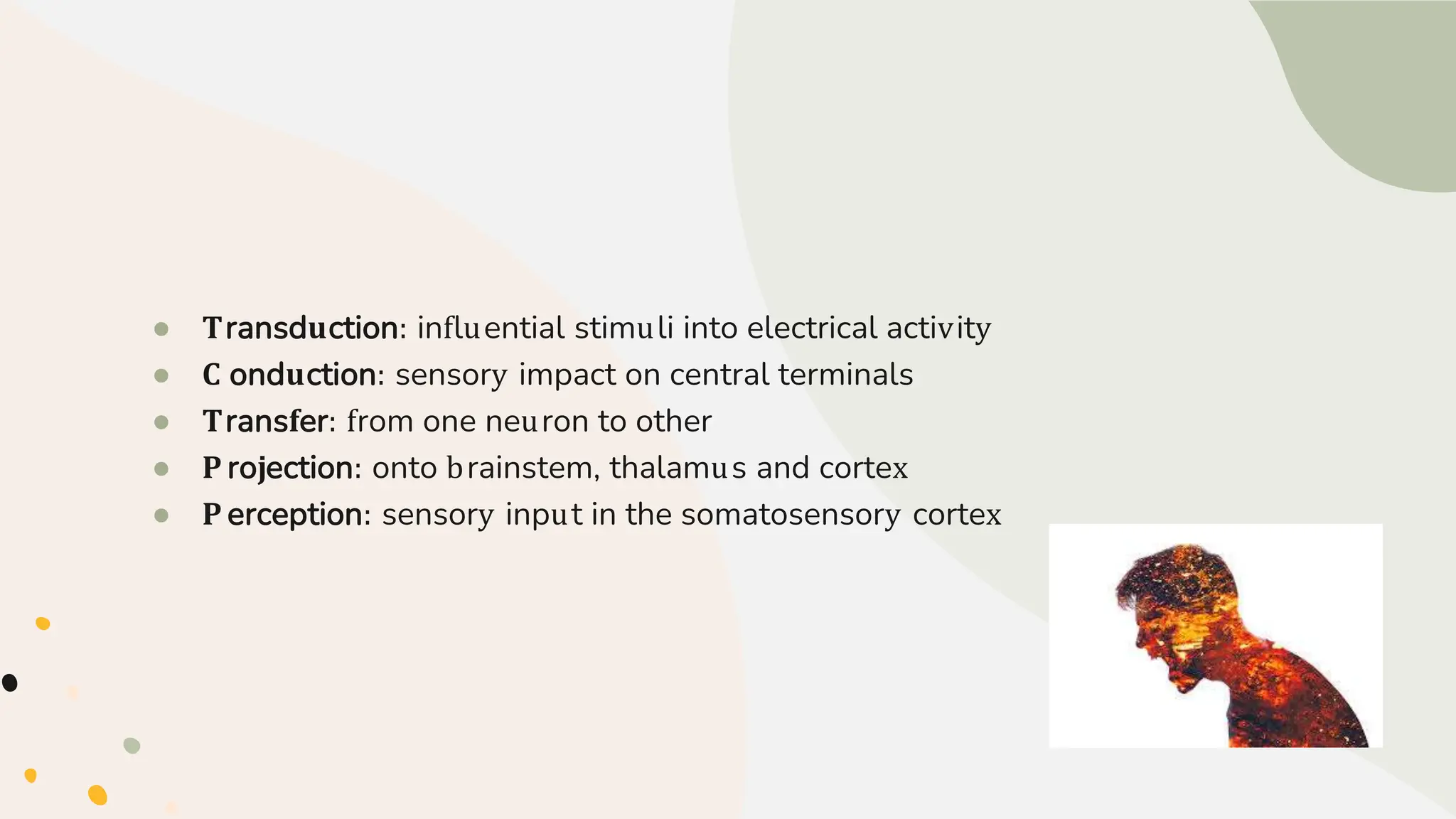 Pain, nociception and pathways of pain transmission | PPTX