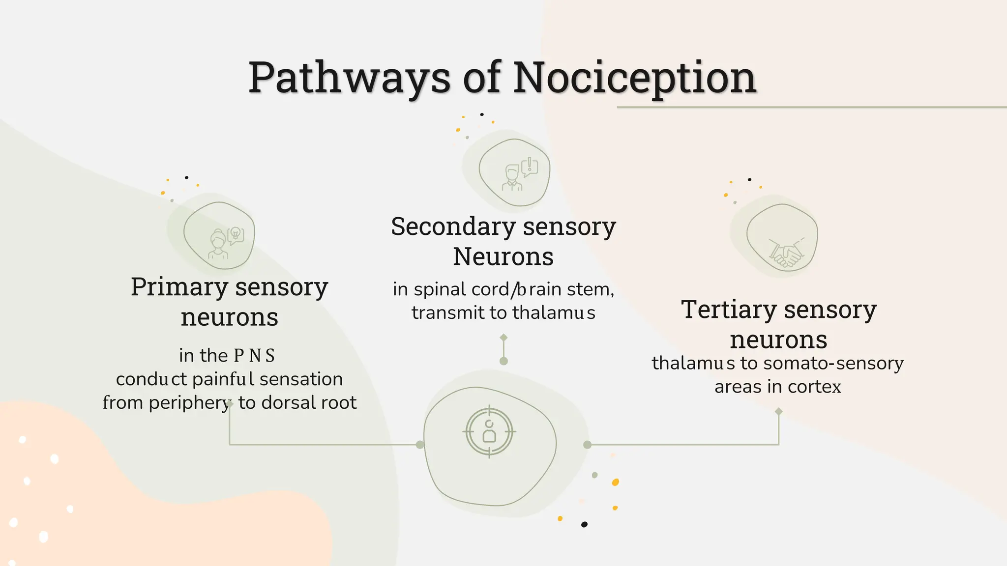 Pain, nociception and pathways of pain transmission | PPTX
