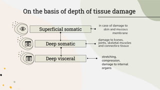 Pain, nociception and pathways of pain transmission | PPTX | Brain and ...