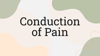 Pain, nociception and pathways of pain transmission | PPTX