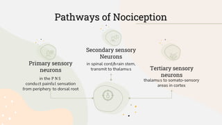 Pain, nociception and pathways of pain transmission | PPTX