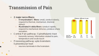 Pain, nociception and pathways of pain transmission | PPTX