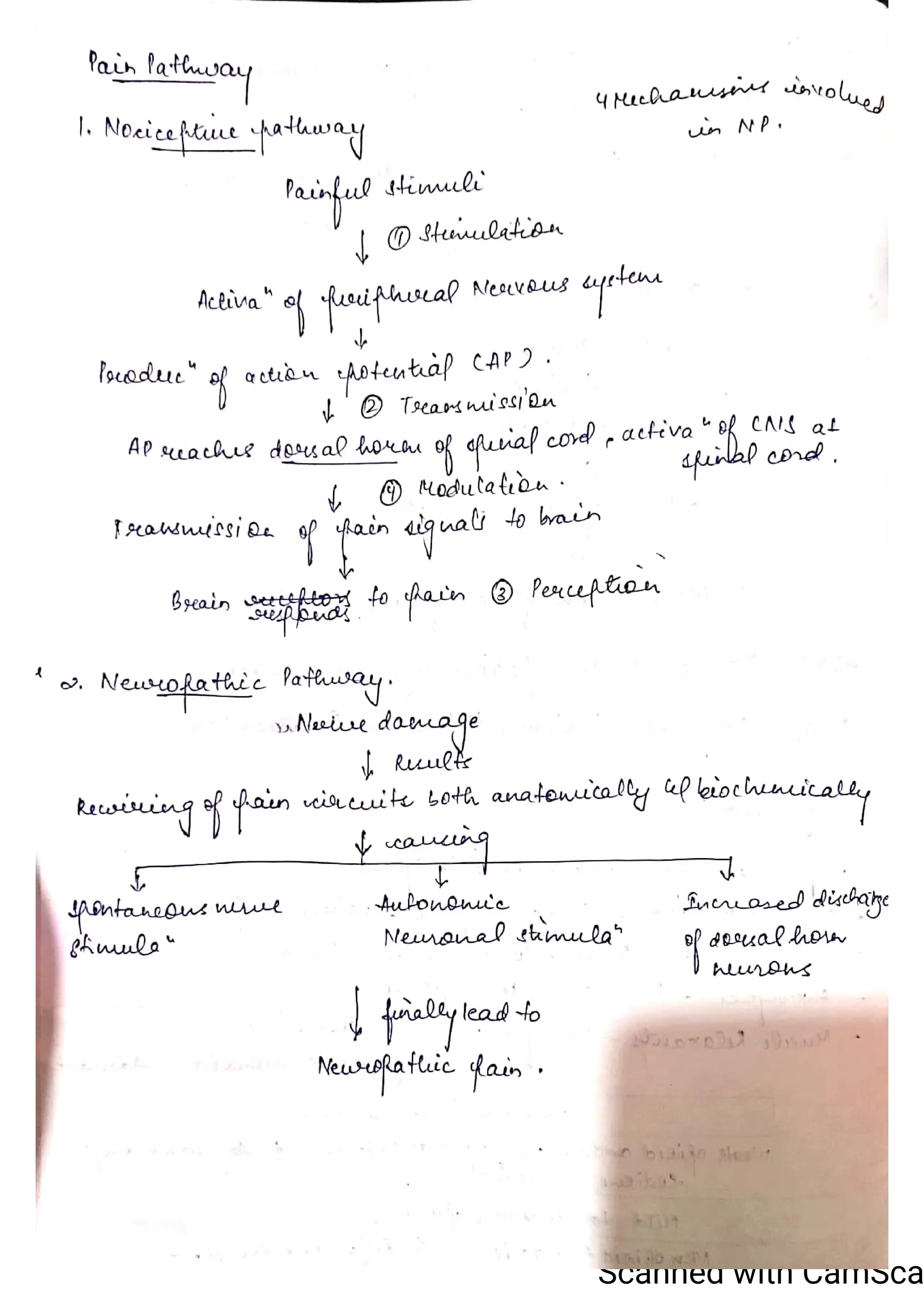 Pain,definition,types, MOA,therapeutic management, | PDF