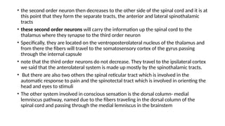 spinothalamic tract, the anatomy pathway of pain.pptx
