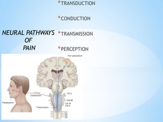PAIN and PATHWAY IN ORAL AND MAXILLOFACIAL SURGERY | PPTX