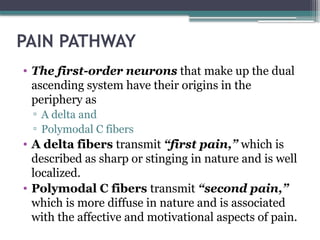 Pain- defintion, types and principles of pain management | PPTX