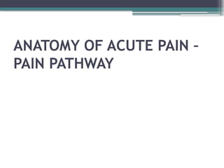 Types of pain and pain management principles | PPTX