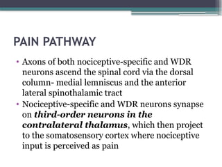 Types of pain and pain management principles | PPTX