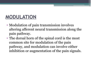 Types of pain and pain management principles | PPTX