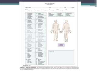 Types of pain and pain management principles | PPTX