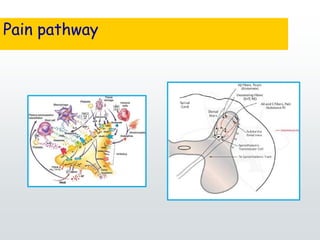 An overview on Pain Management in Anesthesiology | PPTX