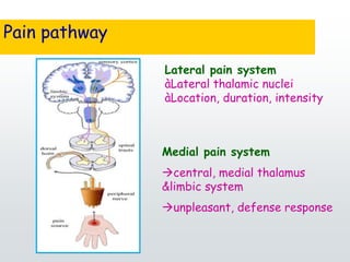 An overview on Pain Management in Anesthesiology | PPTX