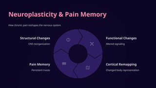 Pain Pathway, Sensitization & Classification of Pain: A Mechanism-Based ...