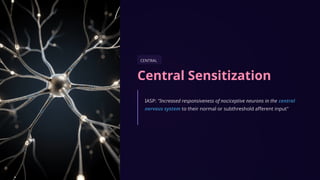 Pain Pathway, Sensitization & Classification of Pain: A Mechanism-Based ...