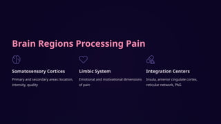 Pain Pathway, Sensitization & Classification of Pain: A Mechanism-Based ...