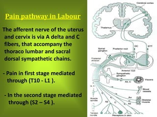 Pain Relief In Labour1 | PPTX