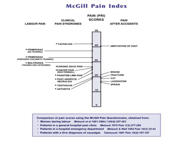 Pain-Scales-and-Assessment.ppt | Diseases and Conditions | Medical Health