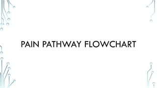Pain-Types, pathway, theories & modulation.pptx