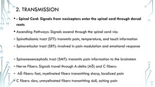 Pain-Types, pathway, theories & modulation.pptx