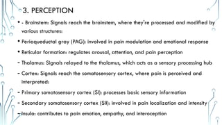 Pain-Types, pathway, theories & modulation.pptx