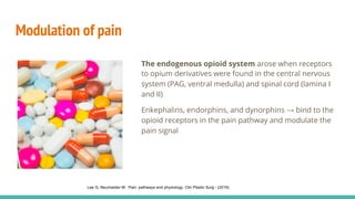 PAIN 1 (1)111111111111111111111111111111 | PDF
