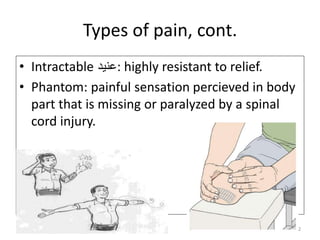 pain 4.pptx