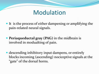 Lecture 19:Pain Dr.Reem AlSabah | PDF