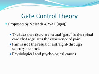 Lecture 19:Pain Dr.Reem AlSabah | PDF