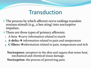 Lecture 19:Pain Dr.Reem AlSabah | PDF