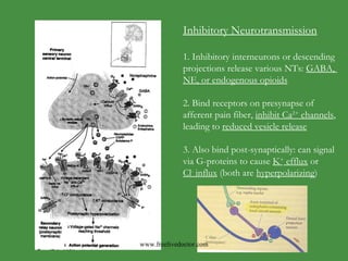 Pain & analgesia | PPT