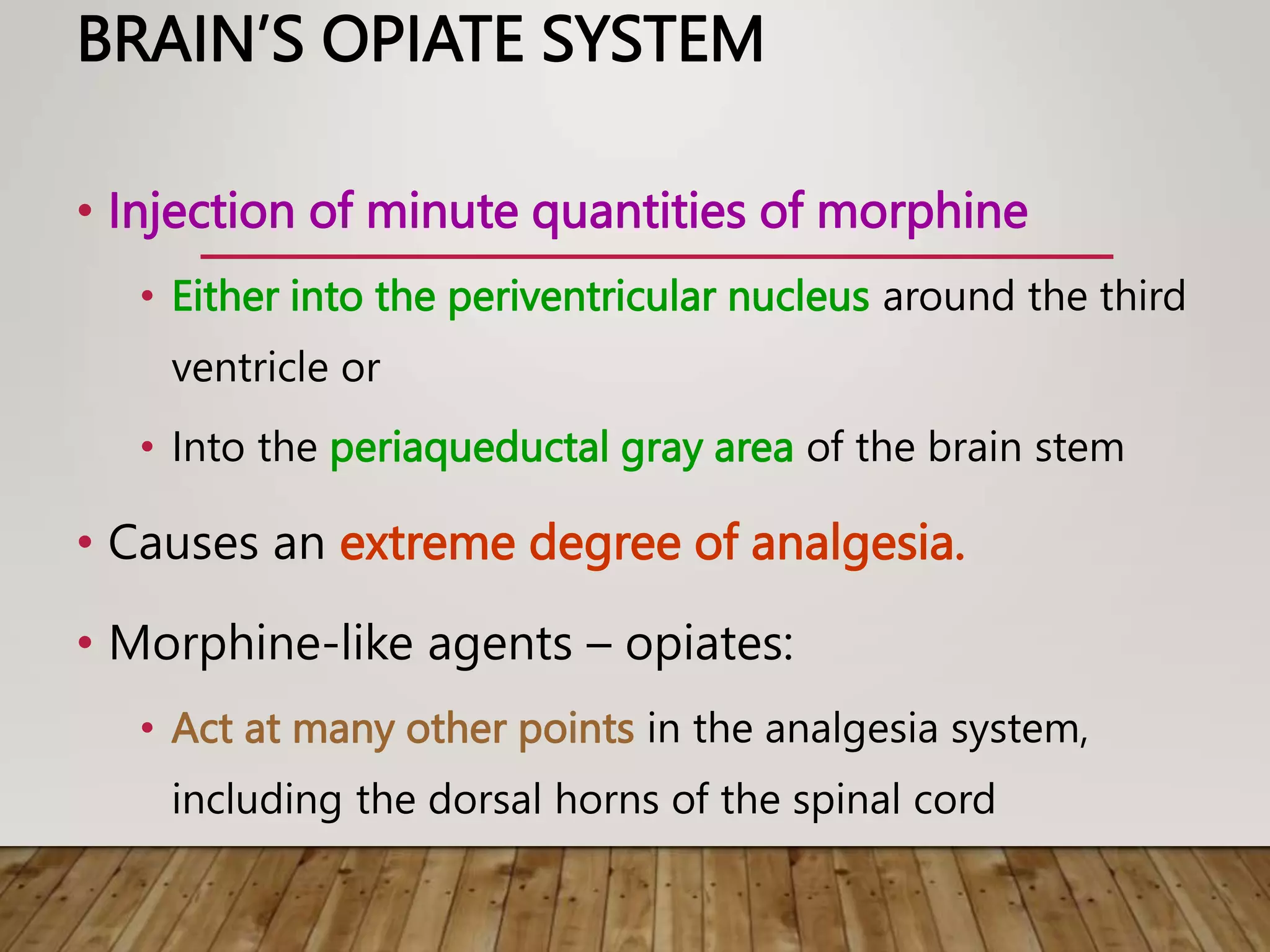 Pain analgesia system.ppt