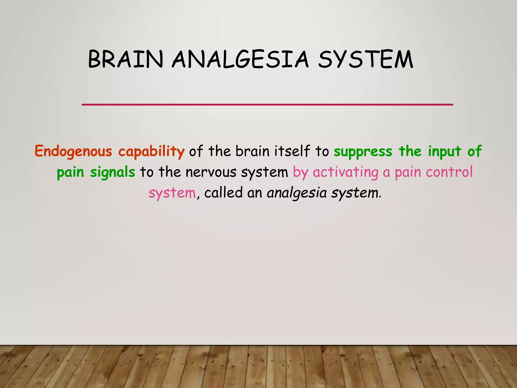 Pain analgesia system.ppt