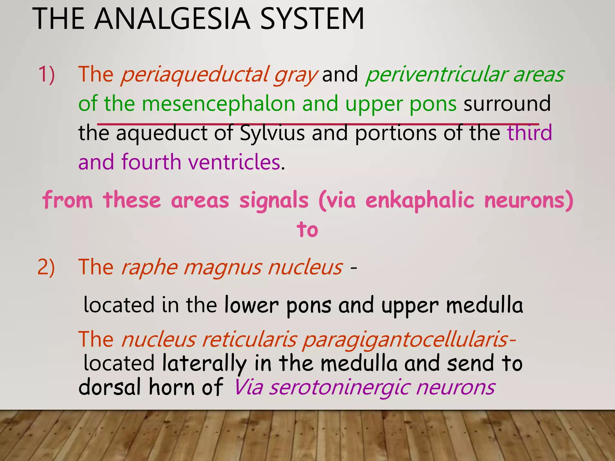 Pain analgesia system.ppt