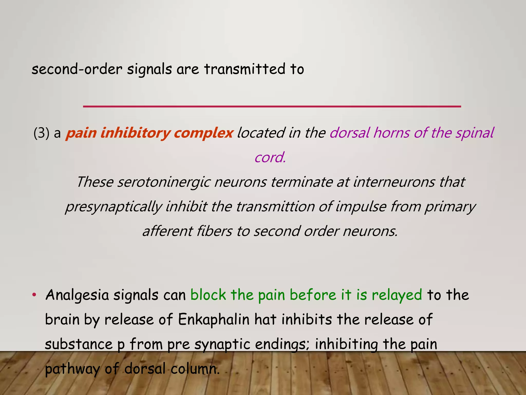 Pain analgesia system.ppt